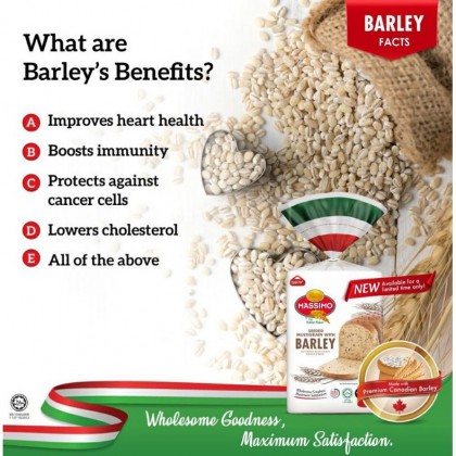 Massimo Seeded Multigrain With Barley 360G